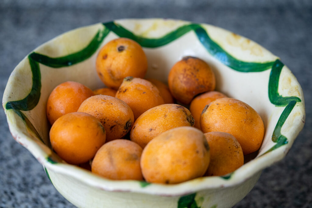 Níspero - Academia Gastronómica de Málaga